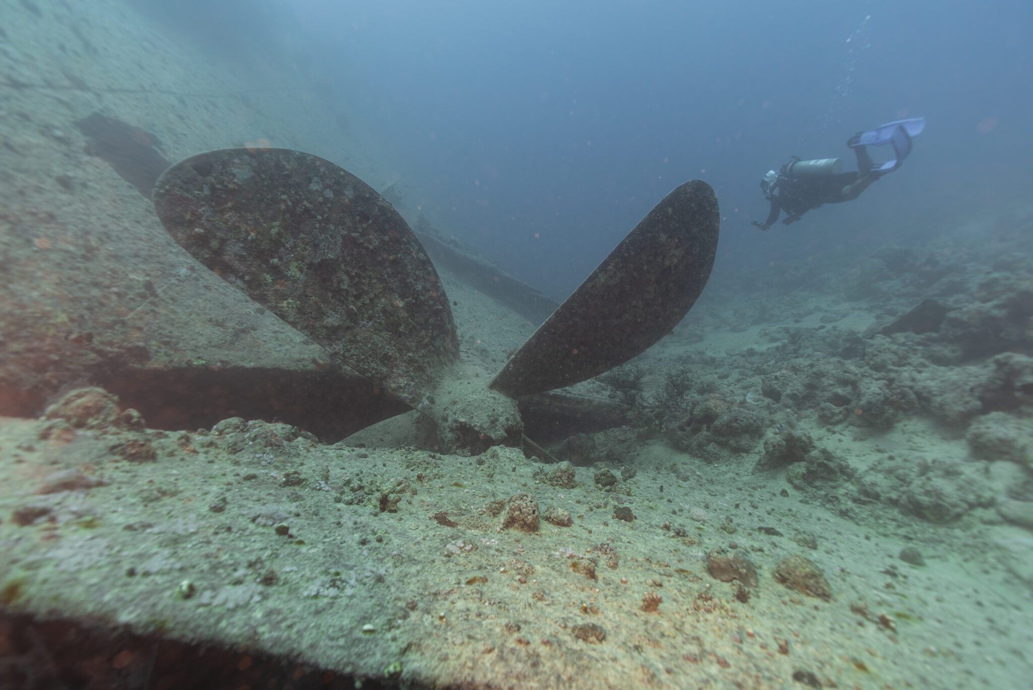 Wrecks at Risk: Protecting Red Sea Underwater Cultural Heritage